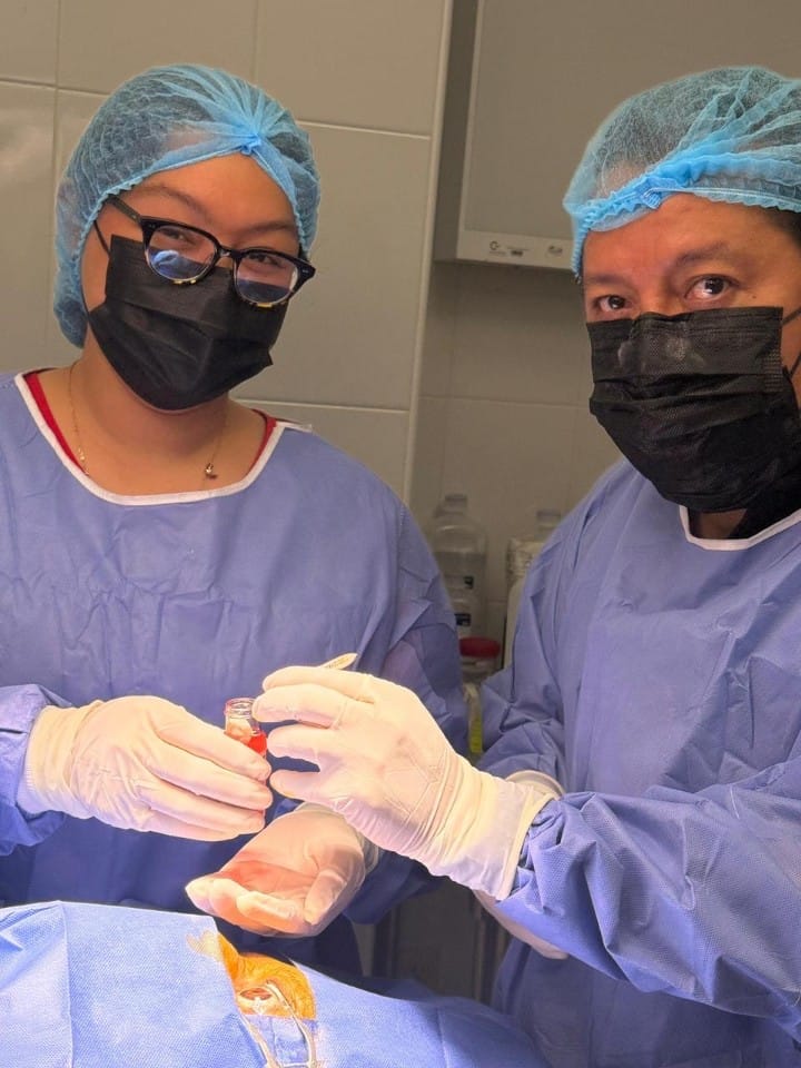 Activa IMSS Chiapas Código Vida con procuración de córneas – ASICH